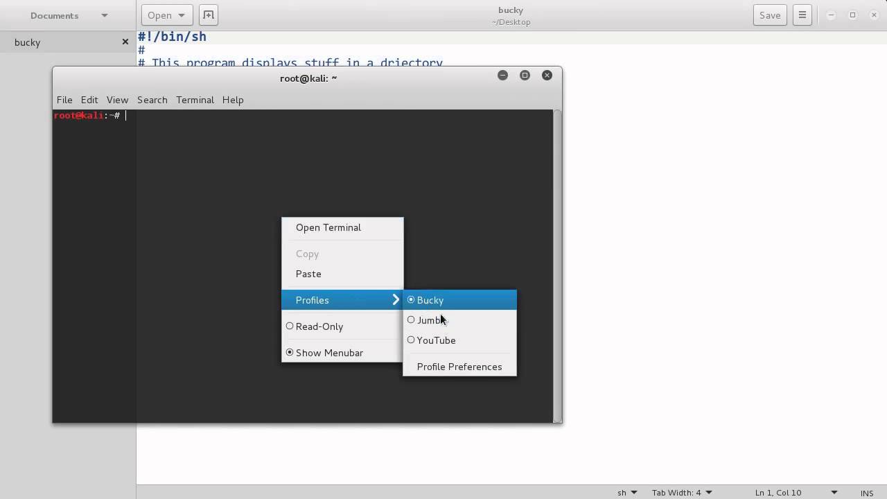 Linux Tutorial for Beginners - 20 - Shell Script Basics