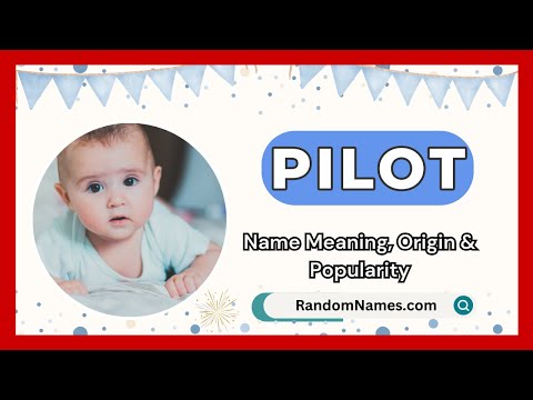 Pilot - Baby Boy Name Meaning, Origin & Popularity - RandomNames.com