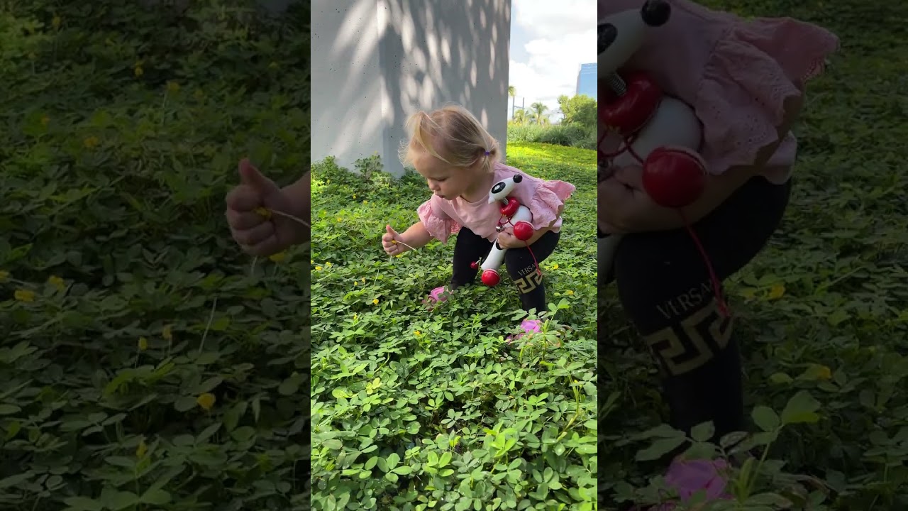 Малышка собирает цветы в парке