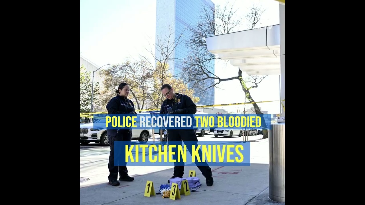 Suspect in Custody after New York City Stabbing Spree Leaves 3 Dead