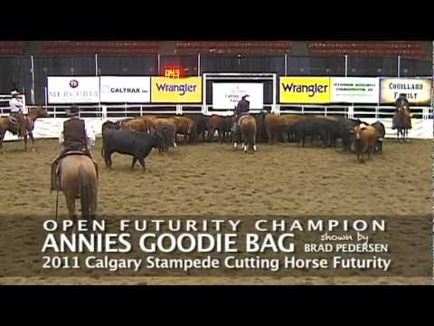 2011 CS CHF Open Futurity Champion