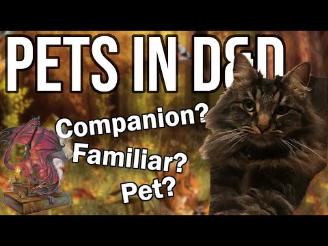 Running Pets in D&D 5e | The Innkeeper