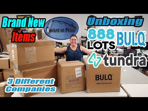 Unboxing 3 Different Companies Bulq.com, 888 Lots, & Tundra What did I Get? I see Robots! Reselling