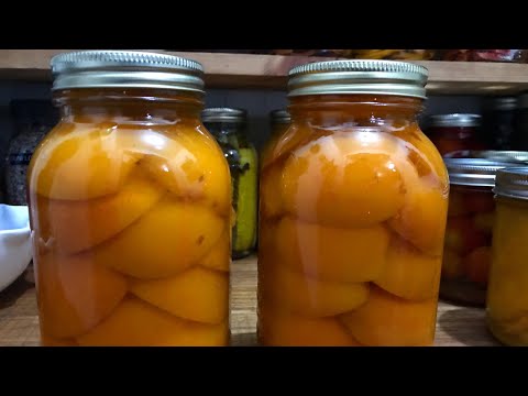 How To Preserve Apricots | How to Can For Beginners