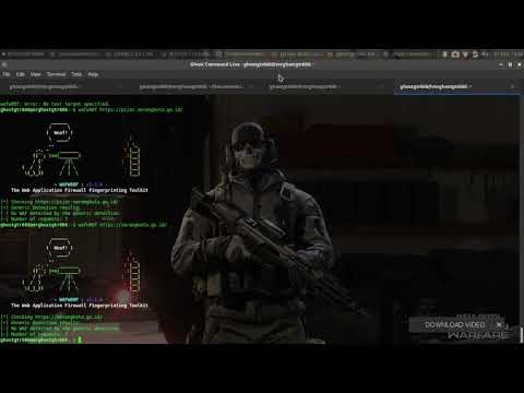 Wafw00f allows one to identify and fingerprint Web Application Firewall (WAF) use BackBox GNU/Linux