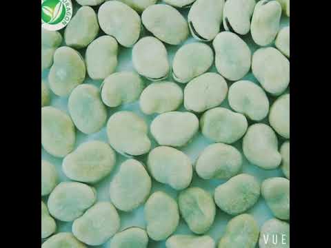 Frozen Broad Bean-Xiamen Sharp Dragon