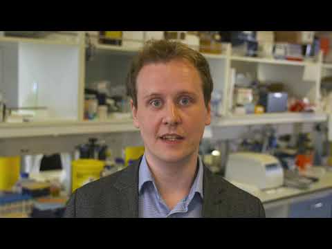 Cardiovascular Research with Dr Mark Thomas