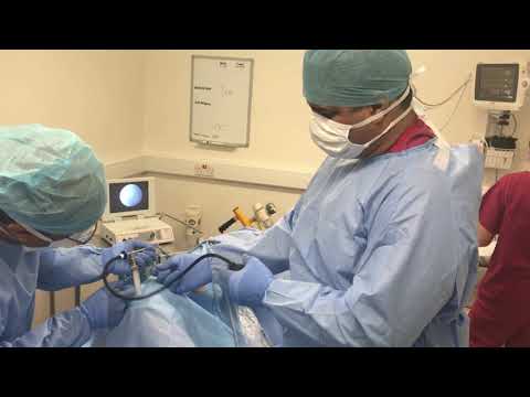 Day case Medical Thoracoscopy with Talc poudrage and IPC insertion