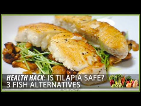 Is Tilapia Safe? 3 Fish Alternatives: Health Hacks- Thomas DeLauer