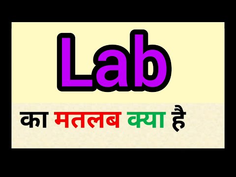 Lab meaning in hindi || lab ka matlab kya hota hai || word meaning english to hindi