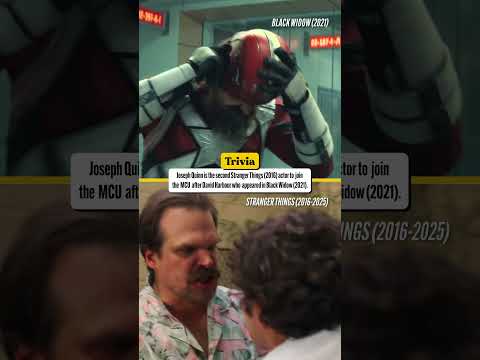 Stranger things star David Harbour and Joseph Quinn in MCU #imdb #shorts