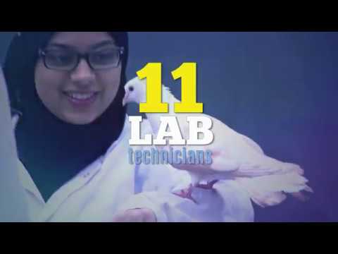 Biological Science Labs at UTSC