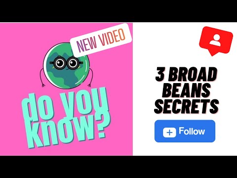 3 BROAD BEANS SECRETS - healthy, good, low-calorie, discover the benefits of broad beans!