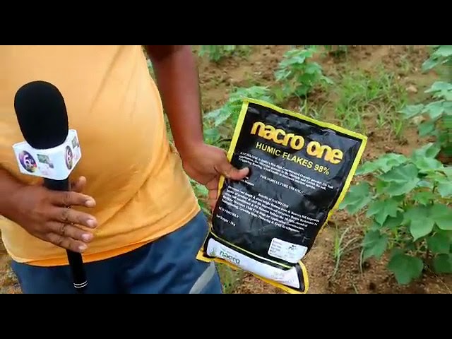 Agricultural Fertilizers - Nacro Legend Plant Protector Manufacturer ...