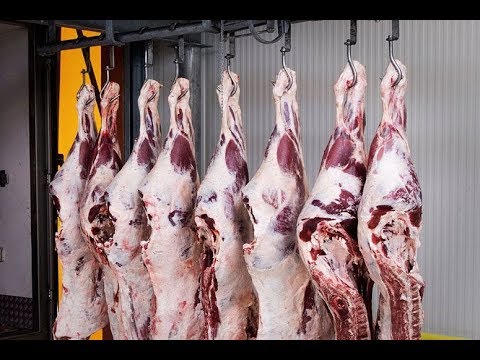 Deer Processing for great tasting Venison