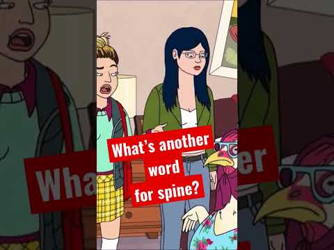 What’s another word for spine? #funnyshorts #bojackhorseman #2023 #funny #question