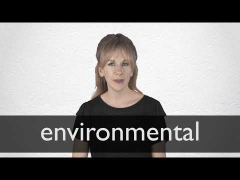 ENVIRONMENTAL Synonyms | Collins English Thesaurus