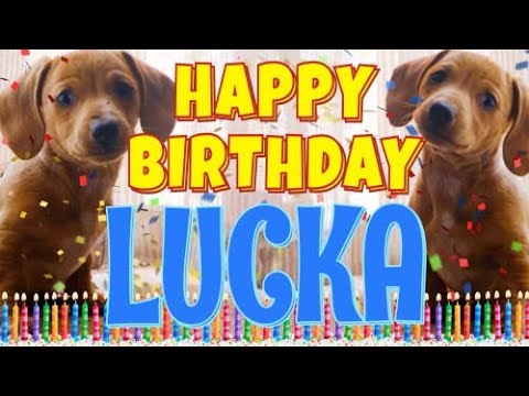 Happy Birthday Lucka! ( Funny Talking Dogs ) What Is Free On My Birthday