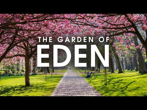 Hebrew Insights | Episode 9: The Garden of Eden