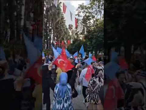 Flag, Uyghur, East Turkestan, Uyghuristan, Stop Uyghur Genocide, Stop Harvesting Organs from Uyghurs