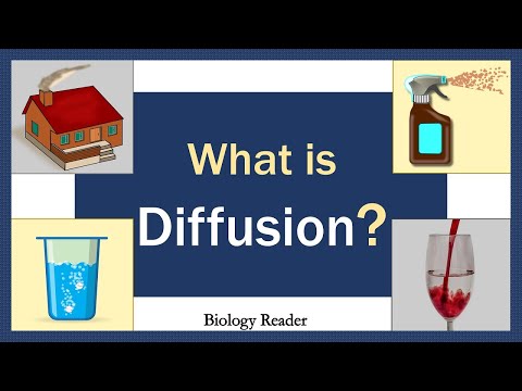 What is Diffusion? | Meaning of Diffusion | Diffusion Examples