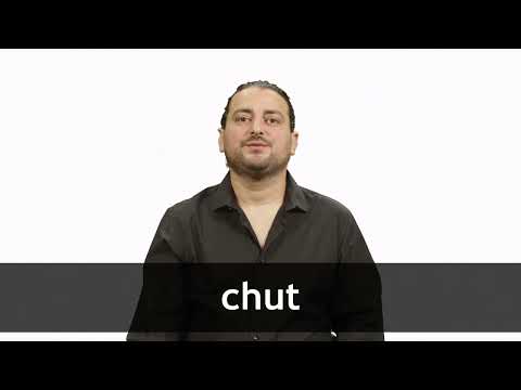 English Translation of “CHUT” | Collins French-English Dictionary
