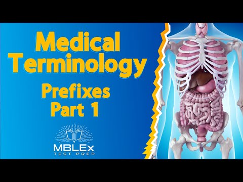 Medical Terminology - Prefixes, Part 1