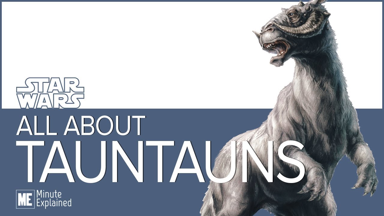 TAUNTAUNS Explained!