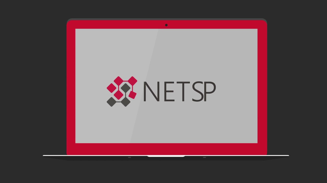 Netspi Explainer Video
