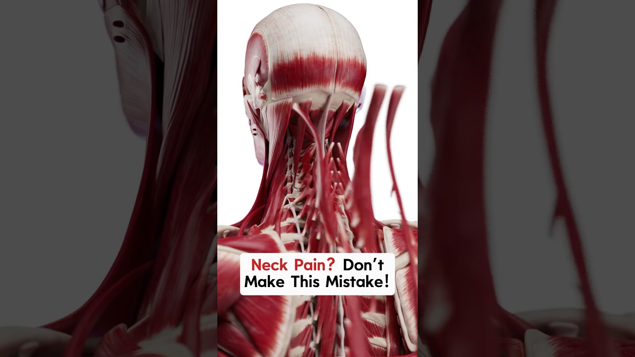 Chronic NECK Pain? Make sure you’re strengthening the RIGHT Muscles! #neckpainexercises #neckpain