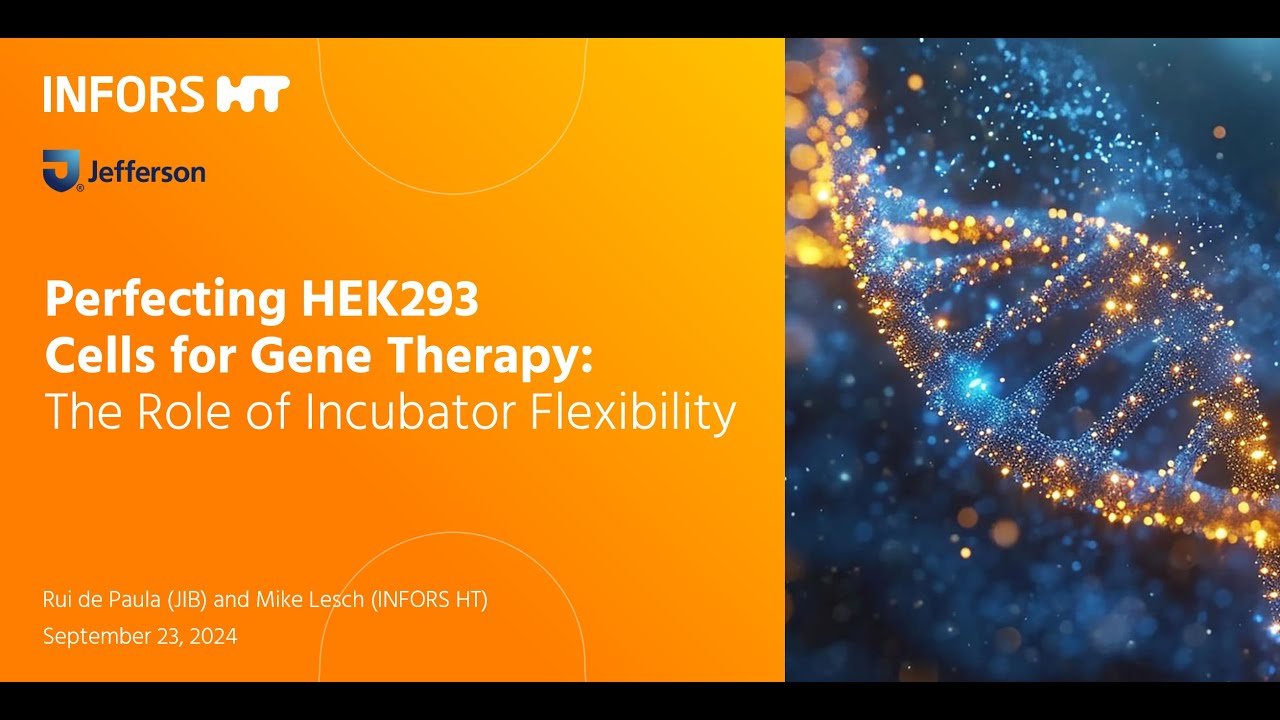 Optimizing HEK293 cell cultures for gene therapy applications: the role ...