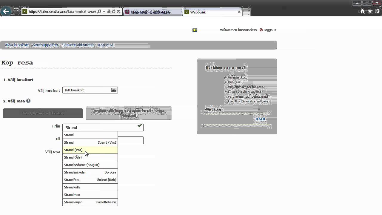 Så fungerar Mina Sidor