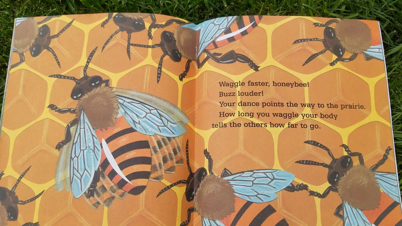 Bee Dance Storytime