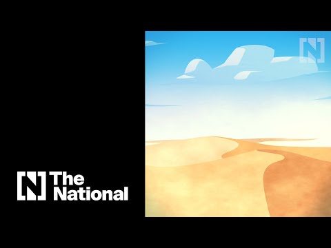 How does fog form in the desert?