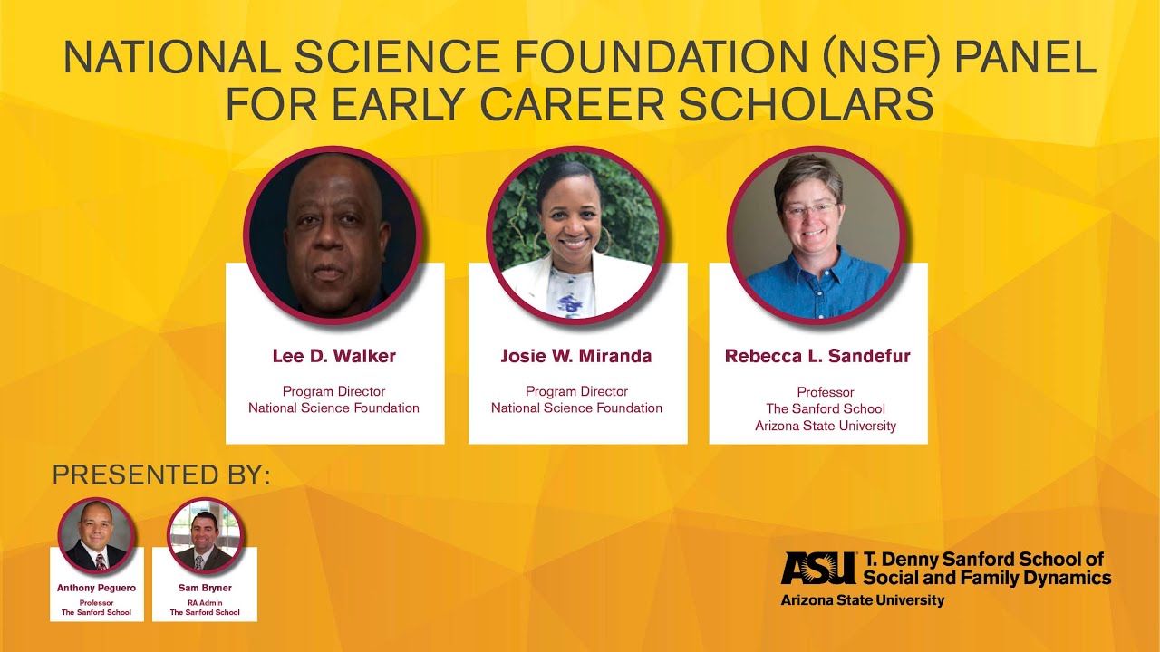 National Science Foundation (NSF) Panel for Early Career Scholars