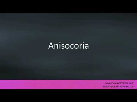 Pronunciation of the word(s) "Anisocoria".