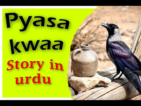 A thirsty crow story in urdu (Please subscribe to my channel)