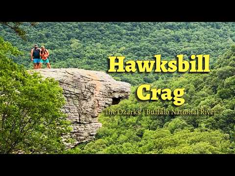 Hiking Whitaker Point (Hawksbill Crag) is a must if you're visiting the ...
