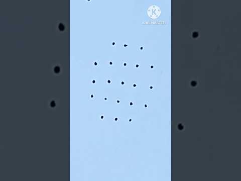 Small driveway triangles/5*3*3 dot triangles