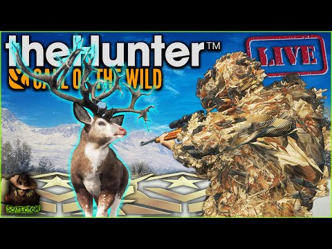 Grinding All Day For The Great One Mule Deer! lets Get This Beast! 80% Off Gifteds! Call of the wild