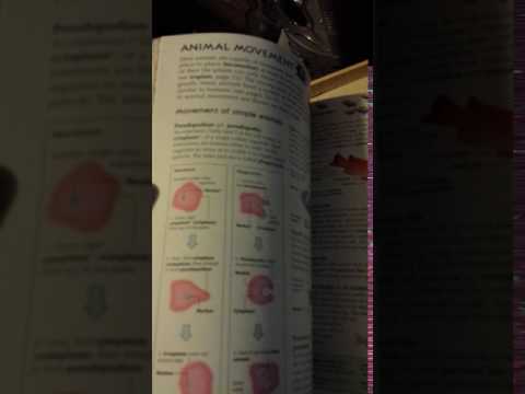 Illustrated Dictionary of Biology