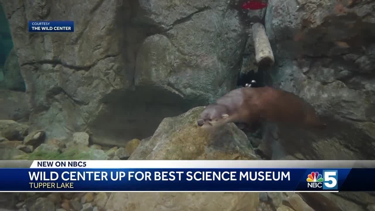 Help The Wild Center in Tupper Lake win big-time bragging rights