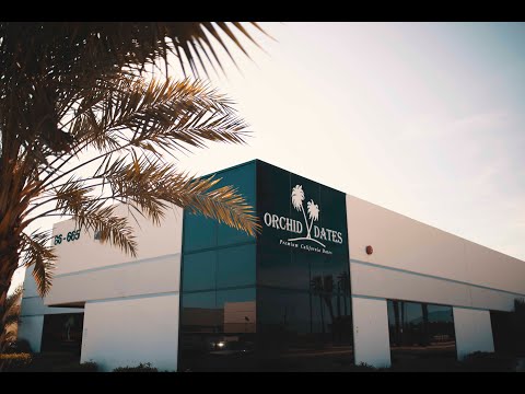Farming Medjool Dates | Orchid Dates Co.