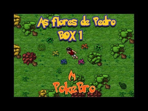 BOX 1 :: Pokebro No Bolso