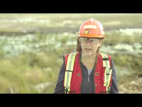 Lynne Barlow, Land Reclamation