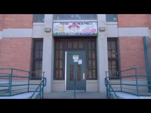 P.S. 256/43