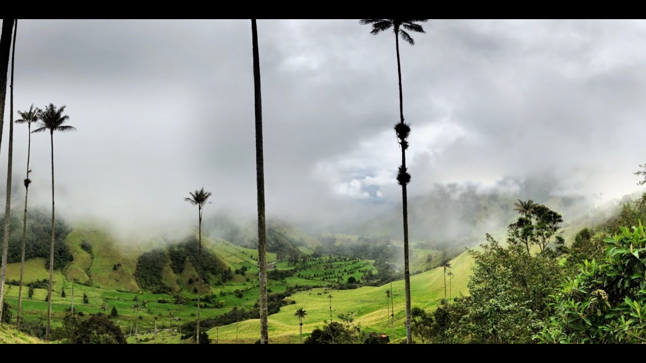 Colombia’s Cocora Valley. 4k
