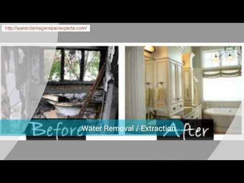 Water Damage Repair Chicago (312) 646-4460
