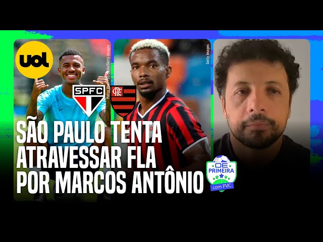 São Paulo pode contratar Marcos Antônio e Thiago Mendes, diz Hernan