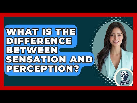 What Is The Difference Between Sensation And Perception? - Philosophy Beyond